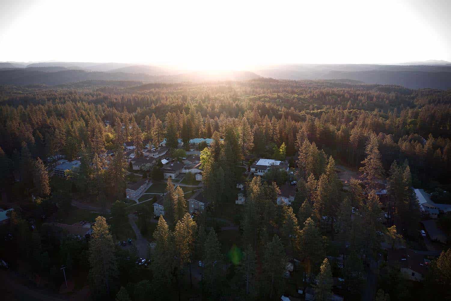 Home - Weimar University